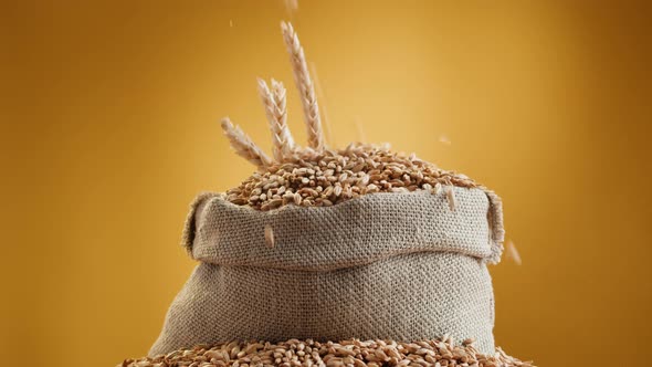 Malt Grains Closeup, Stock Footage | VideoHive
