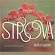 Strova, Fonts | GraphicRiver