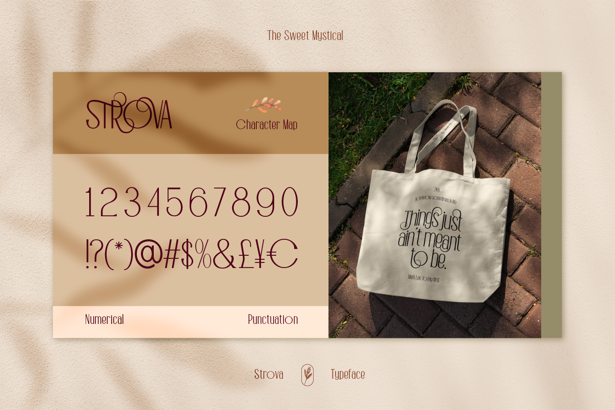 Strova, Fonts | GraphicRiver