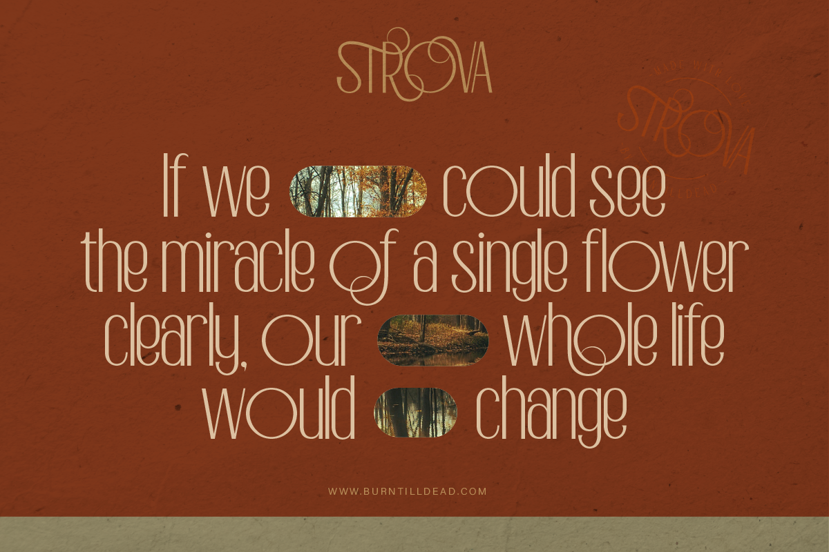 Strova, Fonts | GraphicRiver