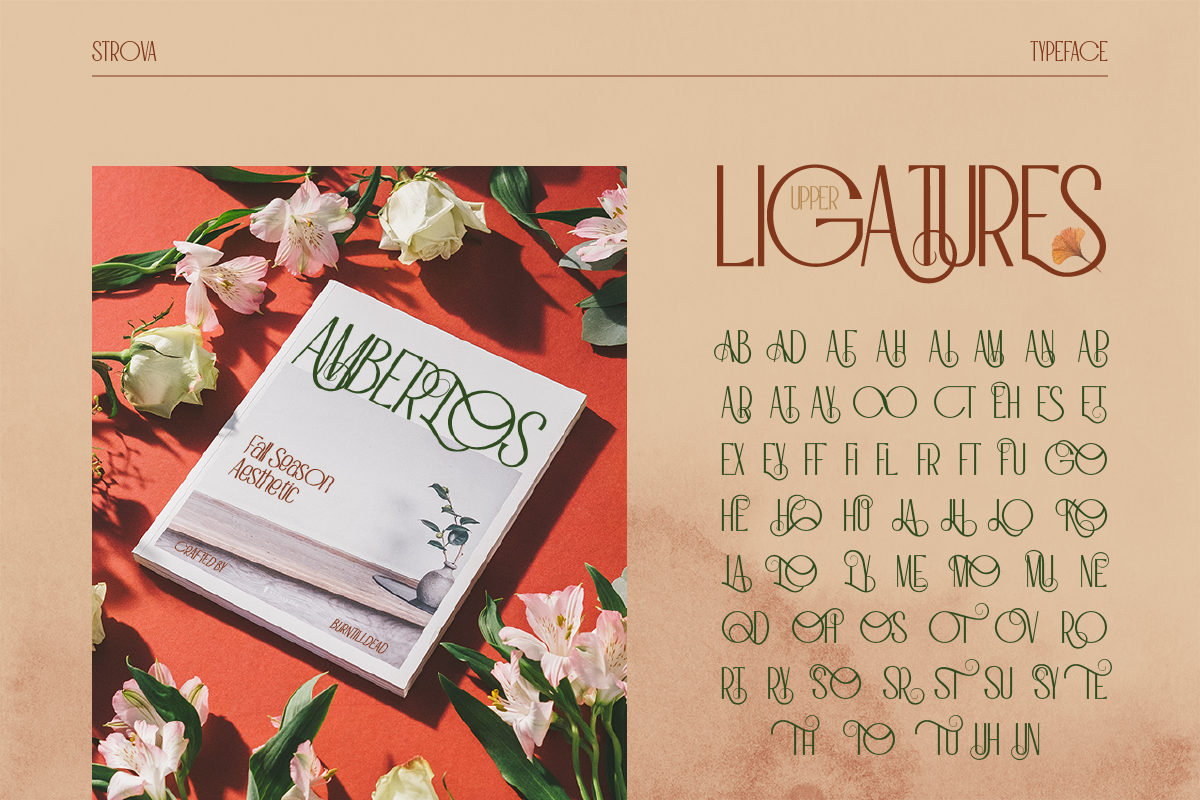 Strova, Fonts | GraphicRiver