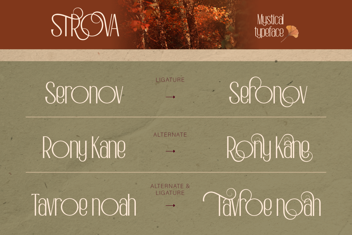 Strova, Fonts | GraphicRiver