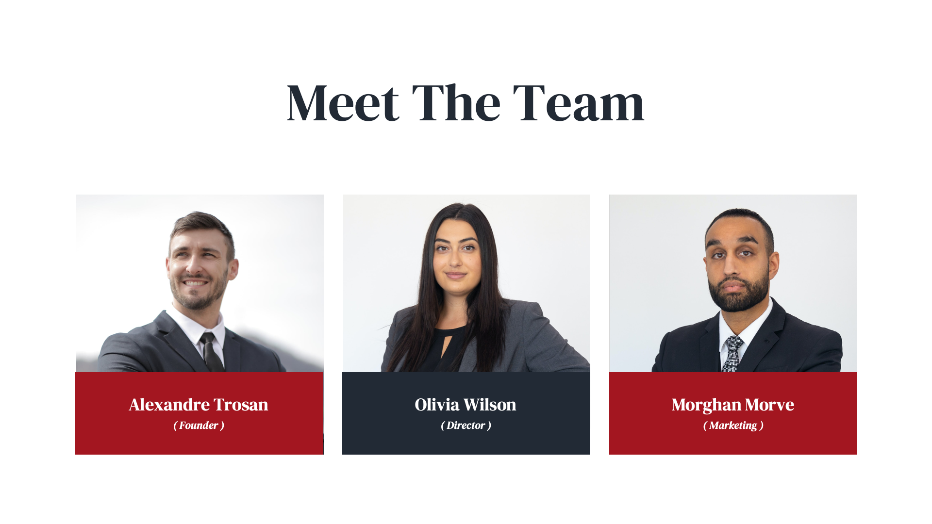 Vorter - Political Campaign PowerPoint Template, Presentation Templates