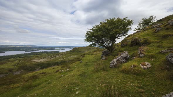 Time lapse of rural and remote landscape of grass, trees and rocks ...