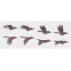 Crow Flying Animation Sequence, Vectors | GraphicRiver