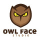 Owl Face Logo Template, Logo Templates | GraphicRiver