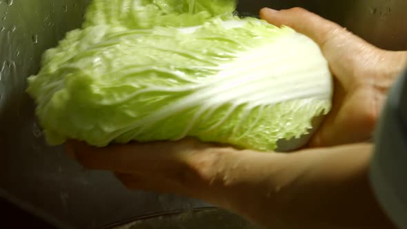 Hands Washing Chinese Cabbage., Stock Footage | VideoHive