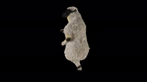 29 Sheep Dancing 4K, Motion Graphics | VideoHive