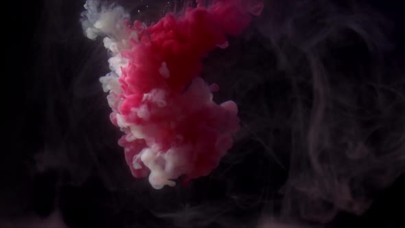 Paint in Water, Stock Footage | VideoHive