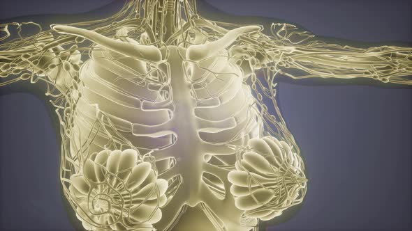 Mammogram Radio Imaging for Breast Cancer Diagnosis, Motion Graphics