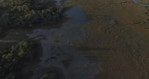 Aerial of Coastal Marsh and Forest on Folly Beach, Stock Footage ...