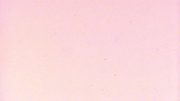 Color film overexposed texture Background, Motion Graphics | VideoHive