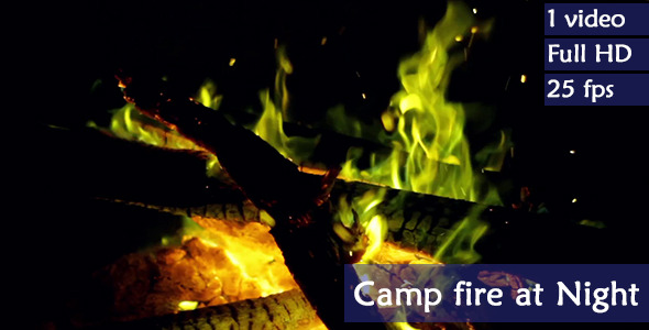 Camp Fire At Night, Stock Footage | VideoHive
