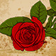 Vintage Red Rose, Vectors | GraphicRiver