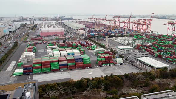 Timelapse Various Cranes in Modern Tokyo Container Terminal, Stock Footage