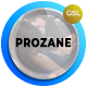 Prozane - Company Profile Google Slides Template, Presentation Templates