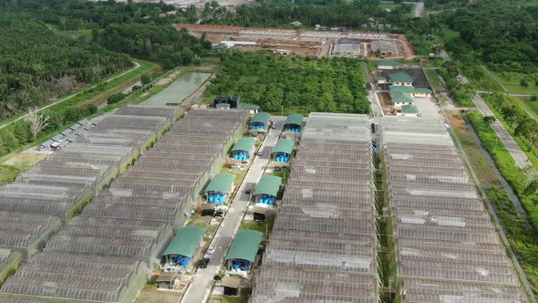 Prawn Fish Farm Aerial, Stock Footage | VideoHive