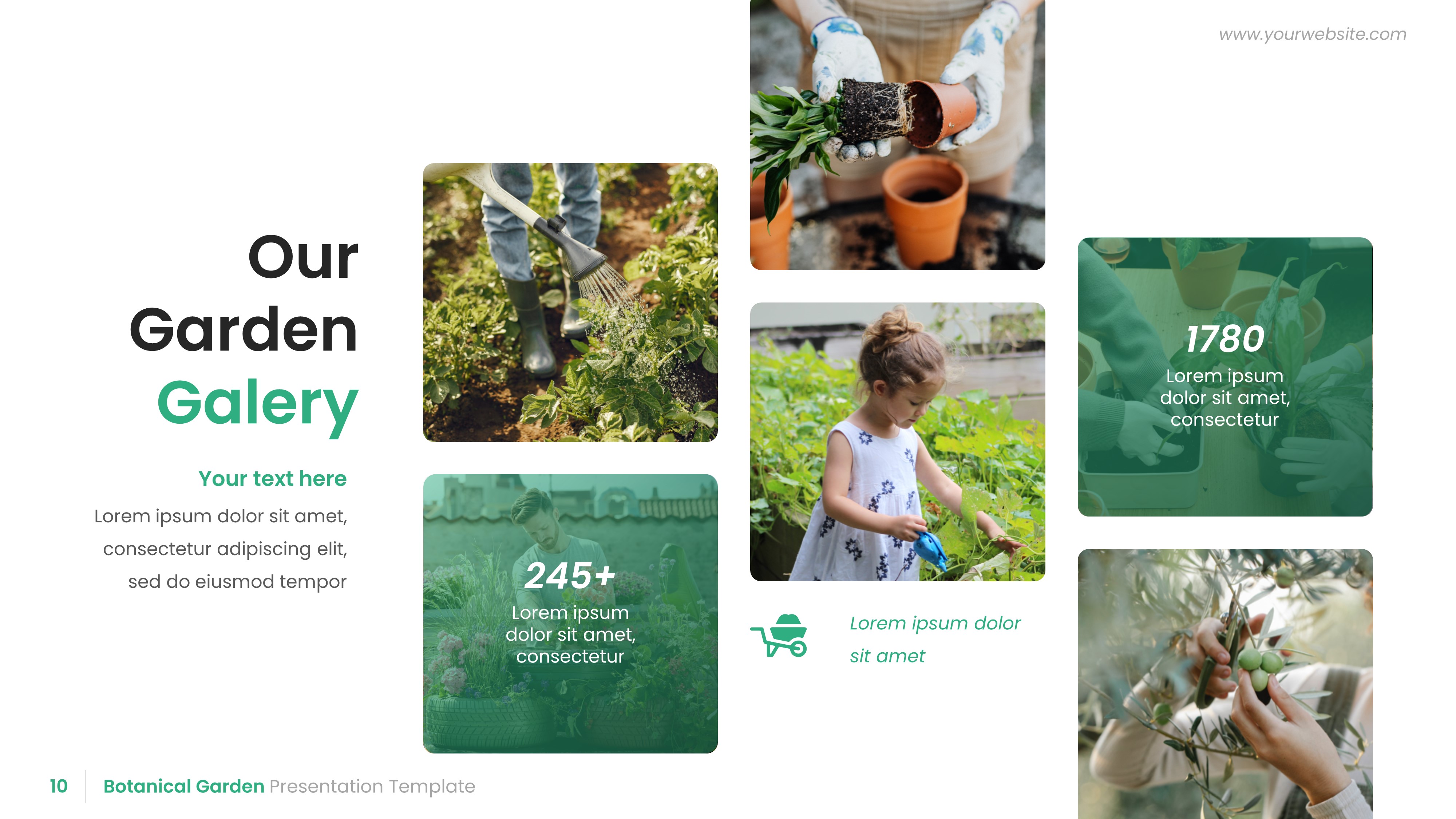 Botanical Garden PowerPoint Presentation, Presentation Templates ...