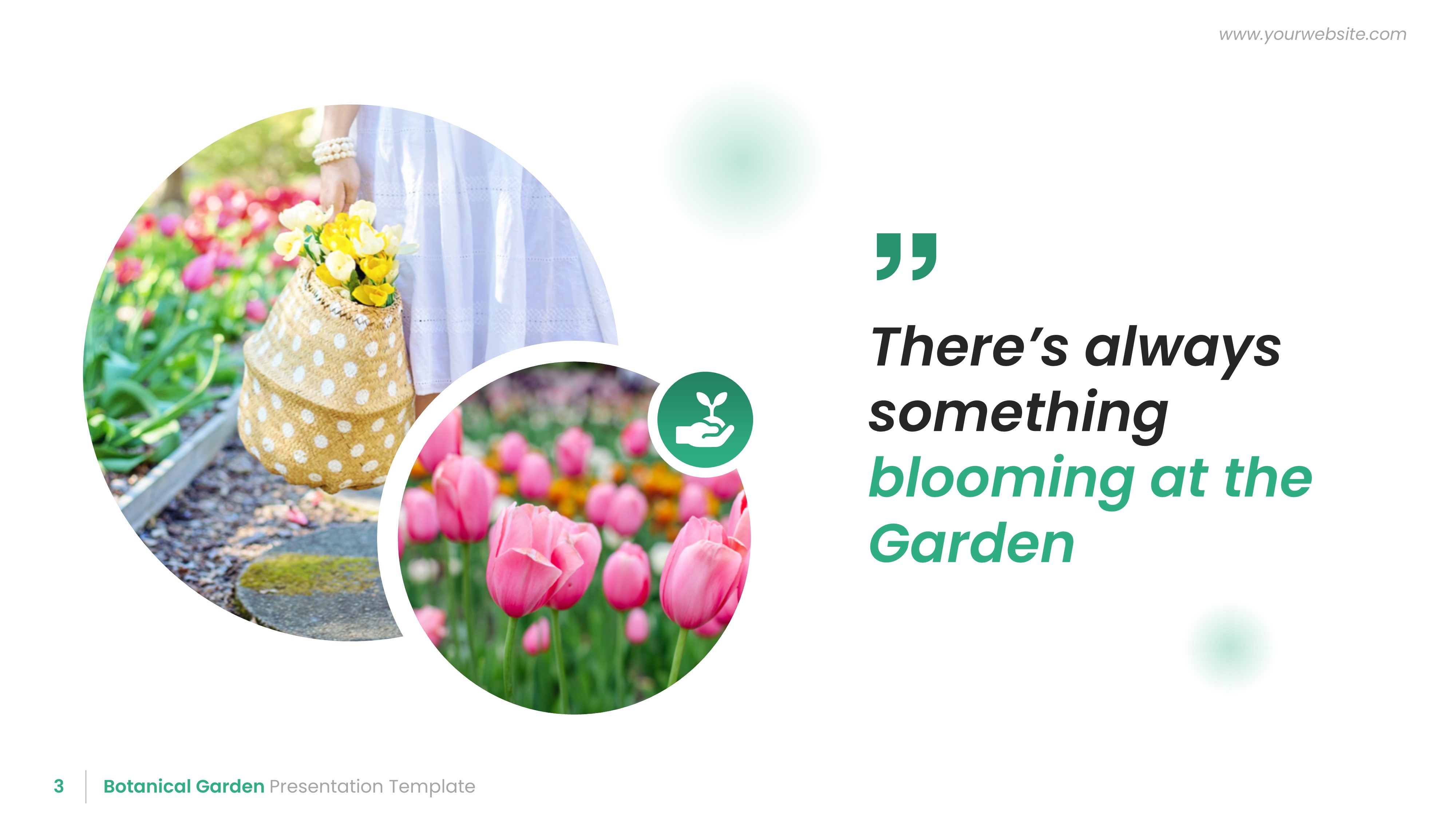 Botanical Garden PowerPoint Presentation, Presentation Templates ...