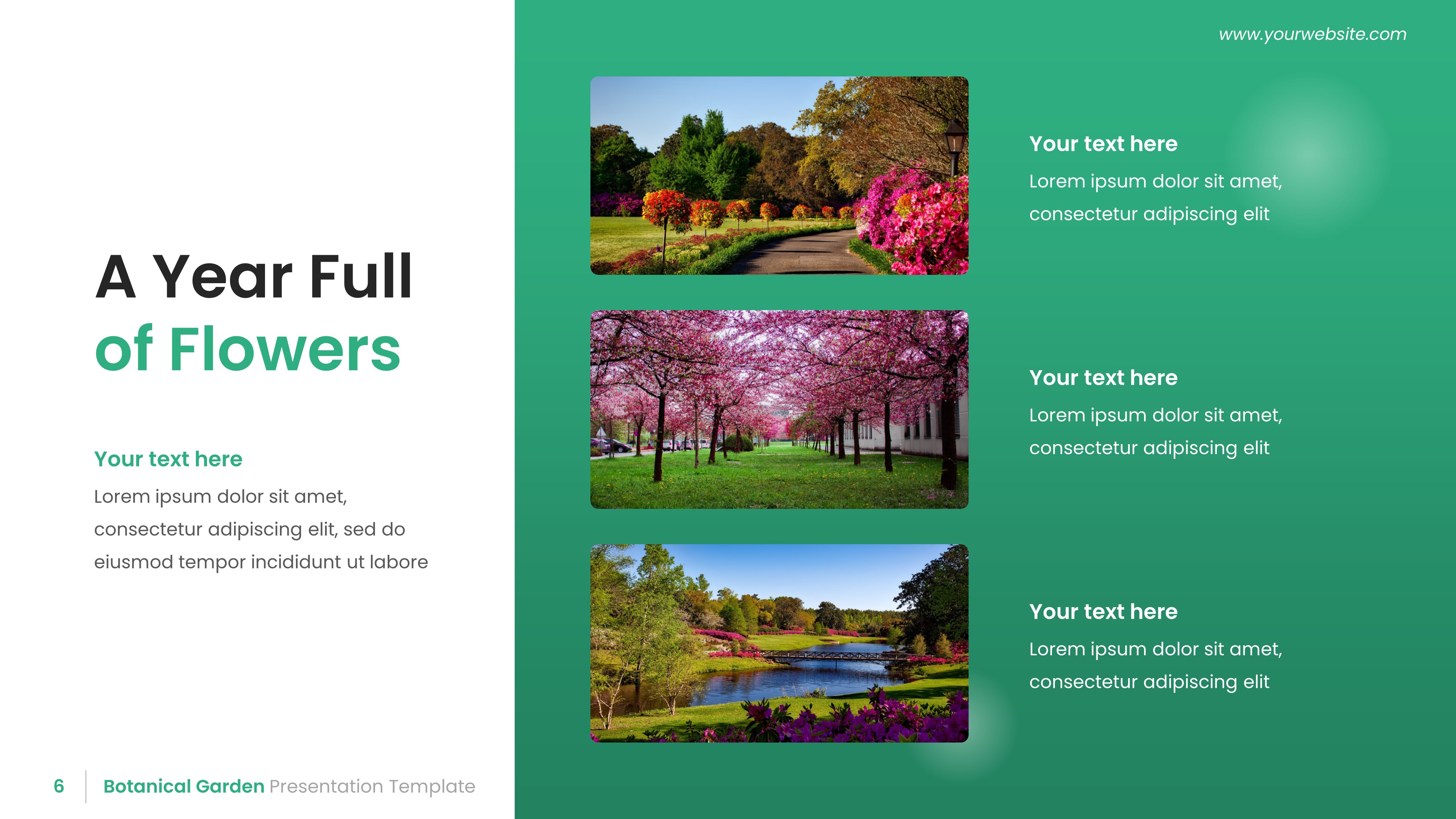 Botanical Garden PowerPoint Presentation, Presentation Templates ...