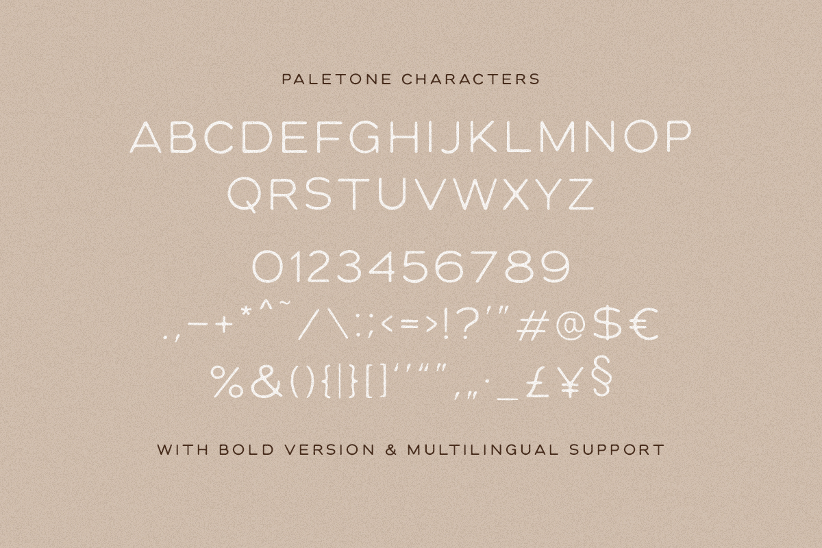 Paletone - Hand Lettered Sans, Fonts | GraphicRiver