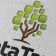 Data Tree, Logo Templates | GraphicRiver