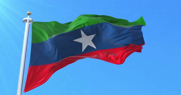 Flag of Ogaden National Liberation Front, Western Somalia, Ethiopia ...