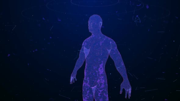 Human Body Concept, Motion Graphics | VideoHive