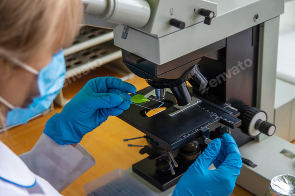 Examine in the laboratory under a microscope. Selective focus. Stock ...
