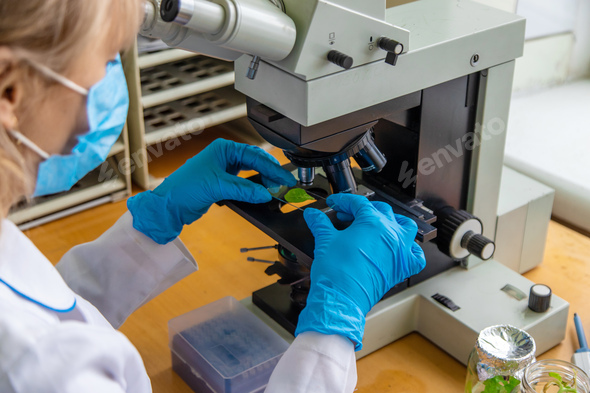 Examine in the laboratory under a microscope. Selective focus. Stock ...