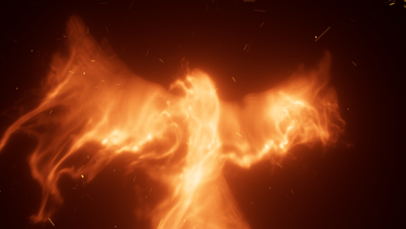 Fire Phoenix Reveal, After Effects Project Files | VideoHive