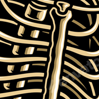 Vintage Surfing Skeleton Vector Illustration, Vectors | GraphicRiver