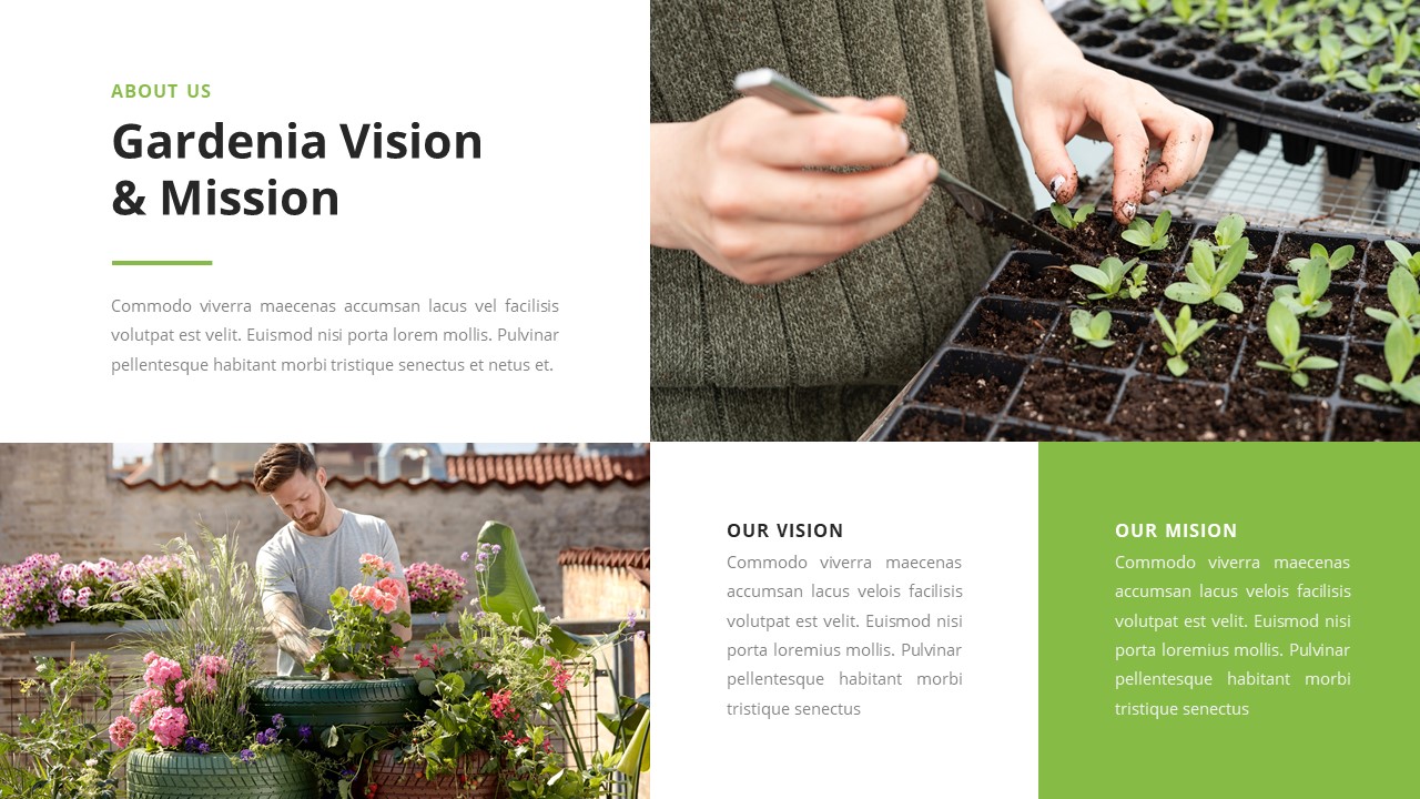 Gardenia - Gardening PowerPoint Presentation Template, Presentation ...