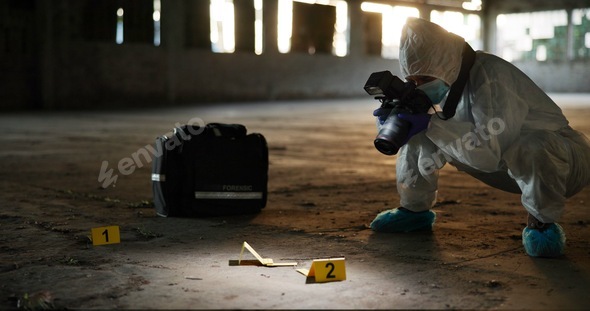 Forensics, person and photography of crime scene for evidence, dna ...
