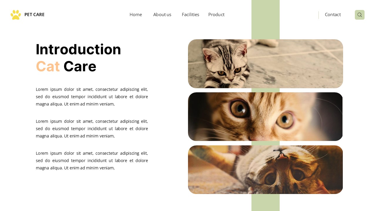Cat Care - Pet Care Google Slide Templates, Presentation Templates