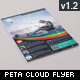 Peta Cloud Service Flyer, Print Templates | GraphicRiver