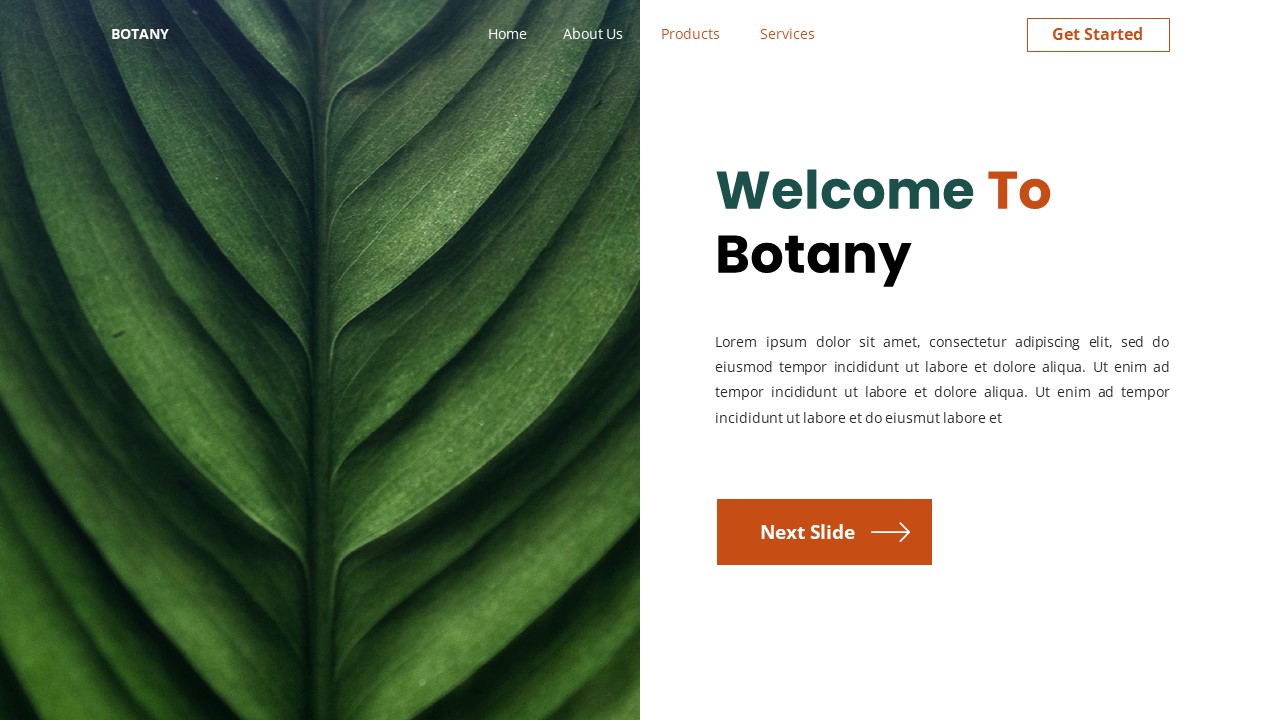 Botany - Botanical Powerpoint Templates, Presentation Templates ...