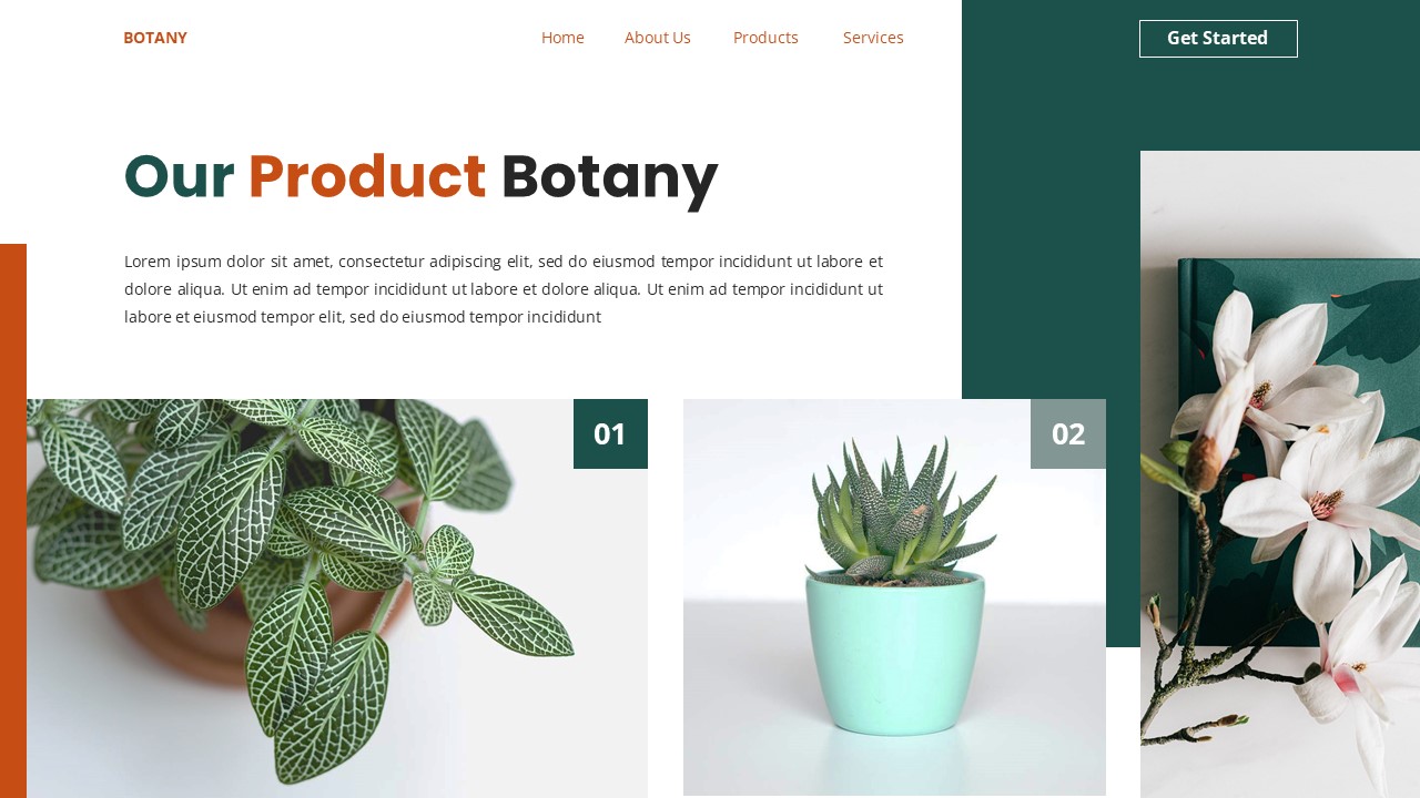 Botany - Botanical Powerpoint Templates, Presentation Templates ...