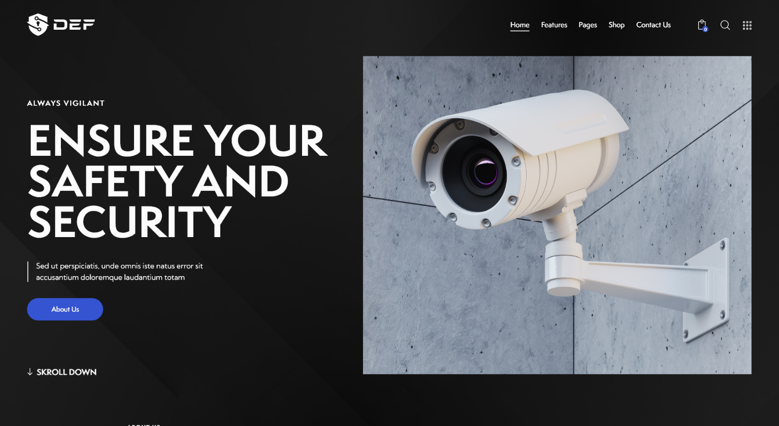 Def — CCTV & Bodyguard Security WordPress Theme by AncoraThemes ...
