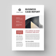 Business Case Report, Print Templates | GraphicRiver
