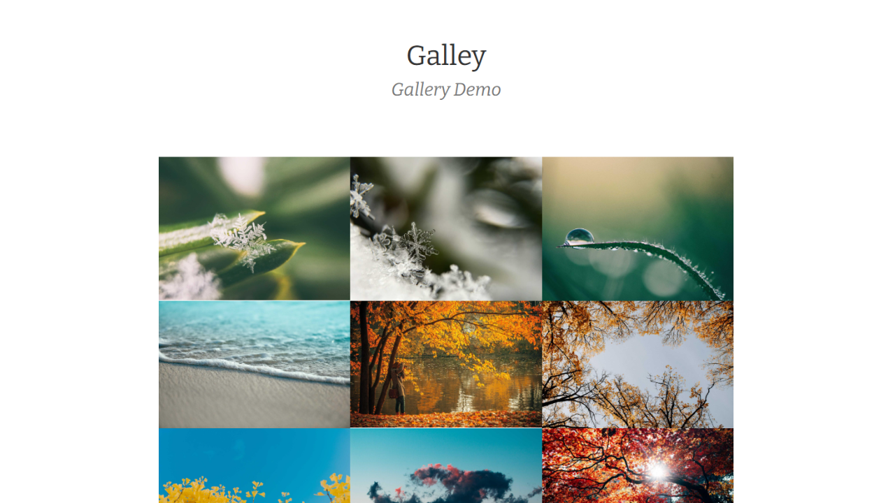 Premium Bootstrap Gallery Template Collection by TechFuturix | CodeCanyon