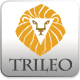 TriLeo Logo Template, Logo Templates | GraphicRiver
