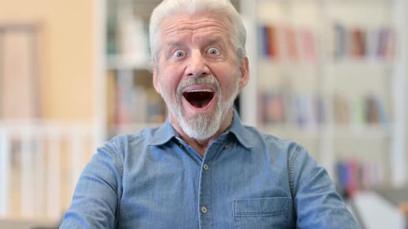 Old Man Celebrating Success, Stock Footage | VideoHive