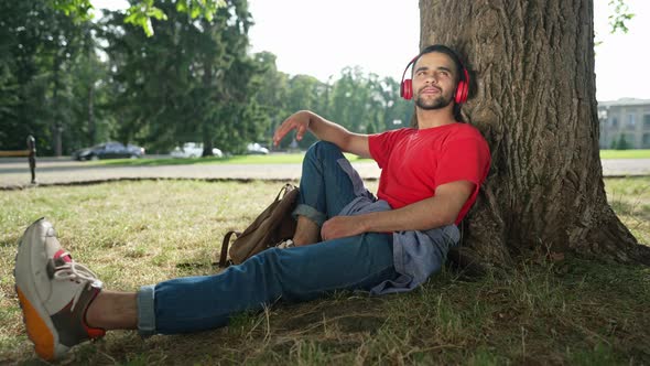 Relaxed Joyful Middle Eastern Bearded Young Man Sitting at Tree on ...