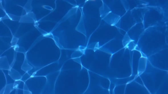 Swimming Pool animation, Motion Graphics | VideoHive