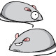 Rat Emoticons, Vectors | GraphicRiver