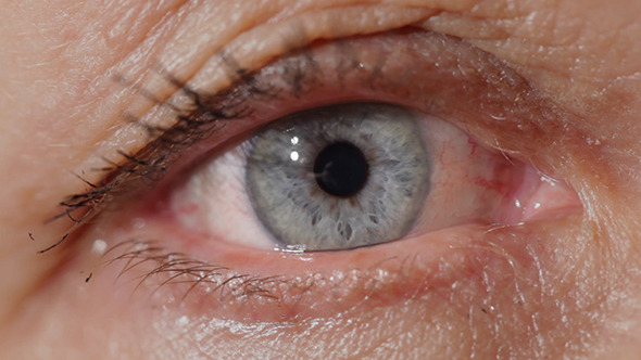 Blue Eyes Of A Middle-Aged Woman, Stock Footage | VideoHive