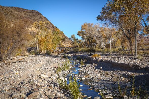 A rare section of the Amargosa River flowing above ground lies in a ...