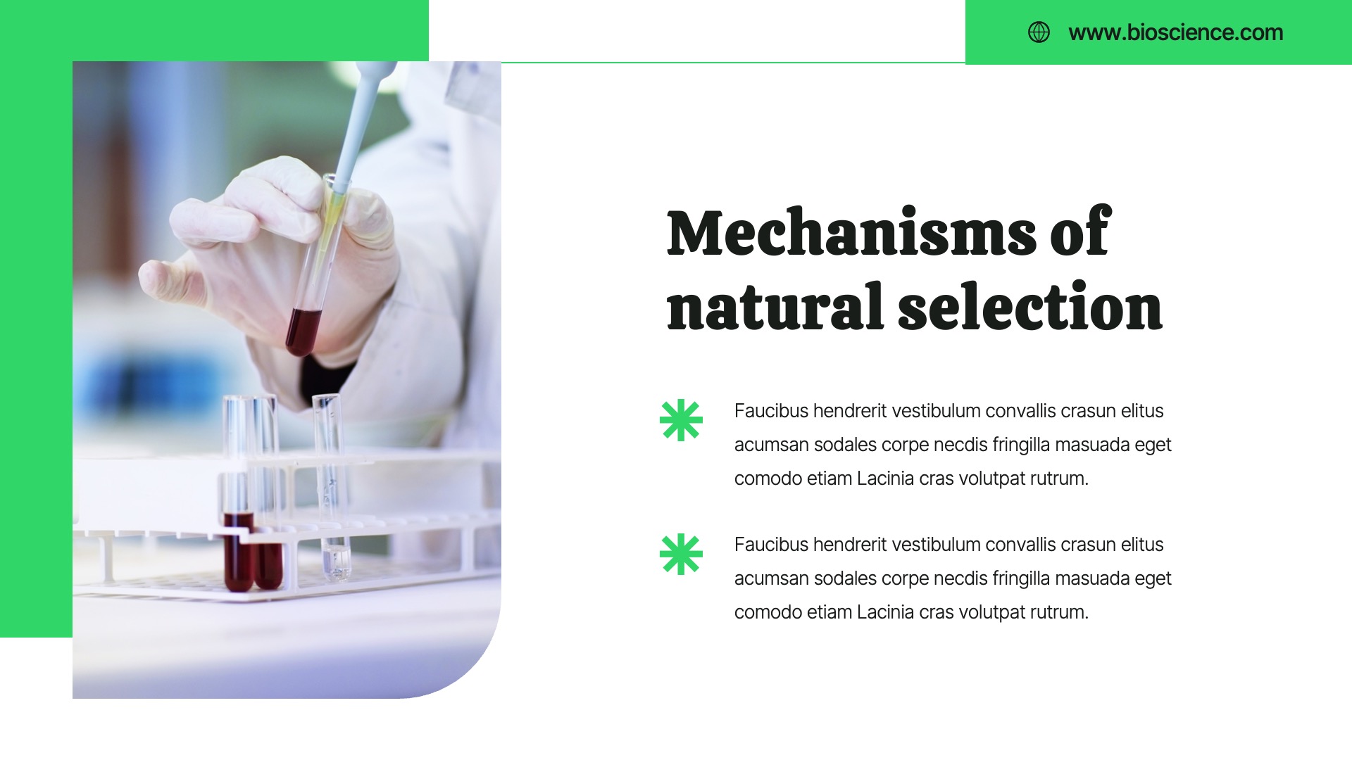 Biology PowerPoint Template, Presentation Templates | GraphicRiver