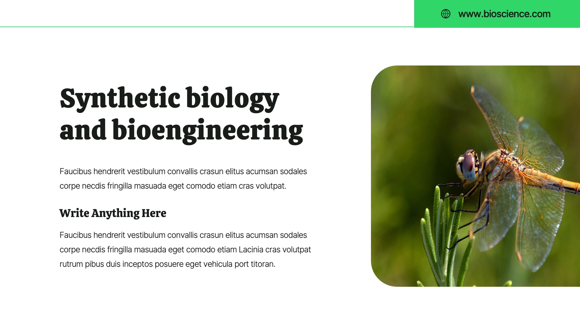 Biology PowerPoint Template, Presentation Templates | GraphicRiver